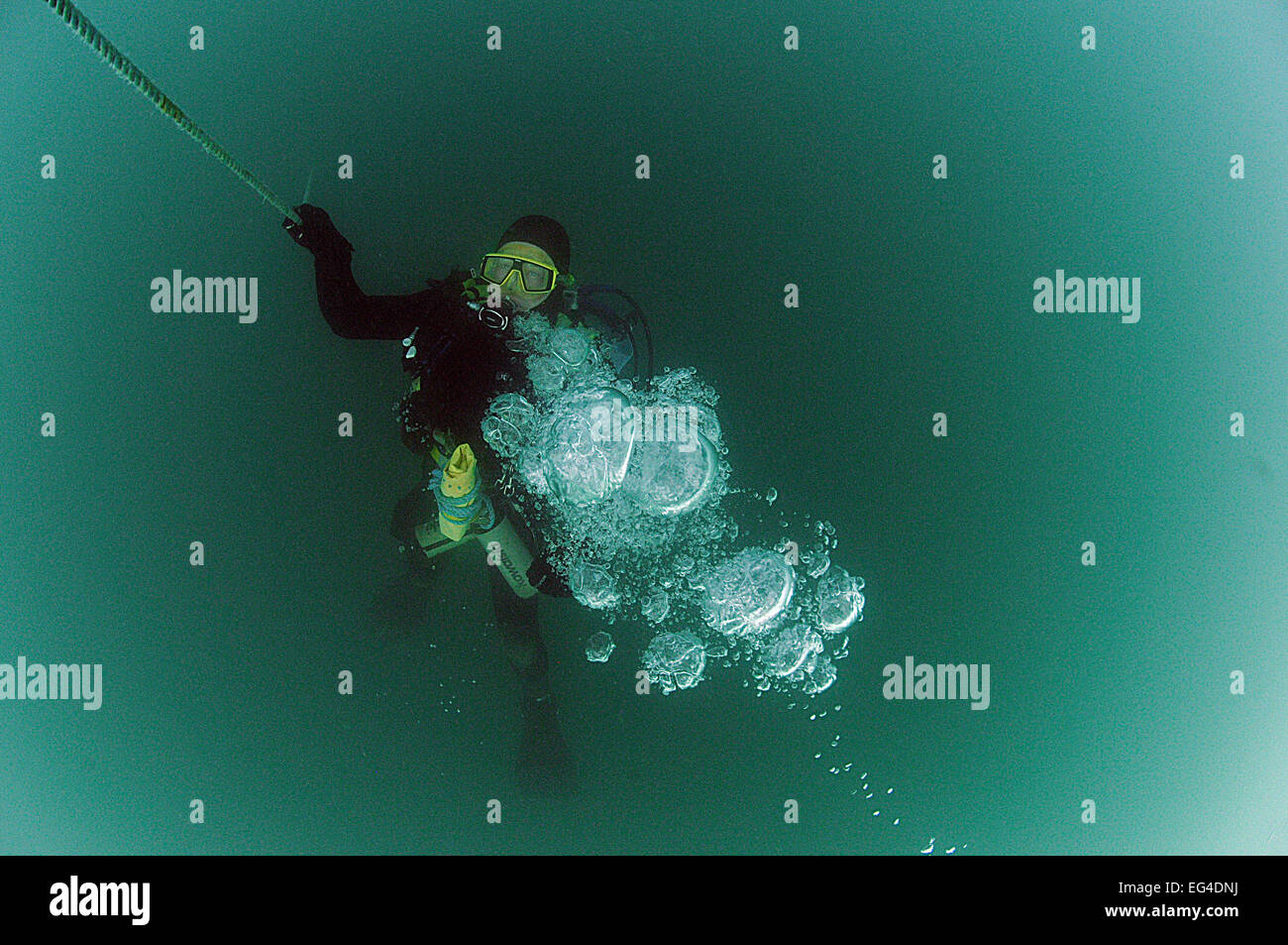 Diver Ron Howse ascending the shot line in Lyme Bay off Portland Bill ...