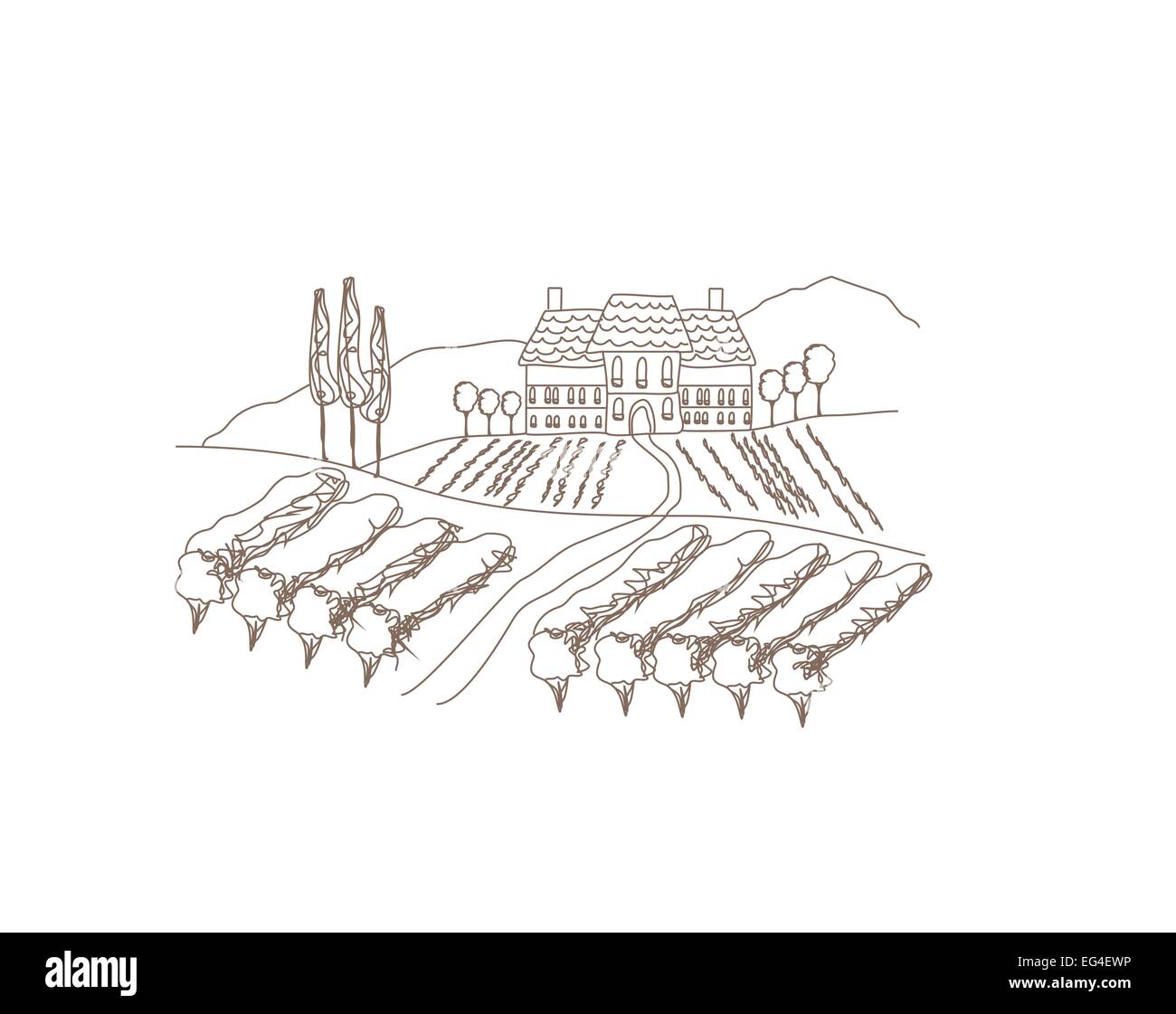 Vector illustration of vineyard Stock Vector Image & Art - Alamy