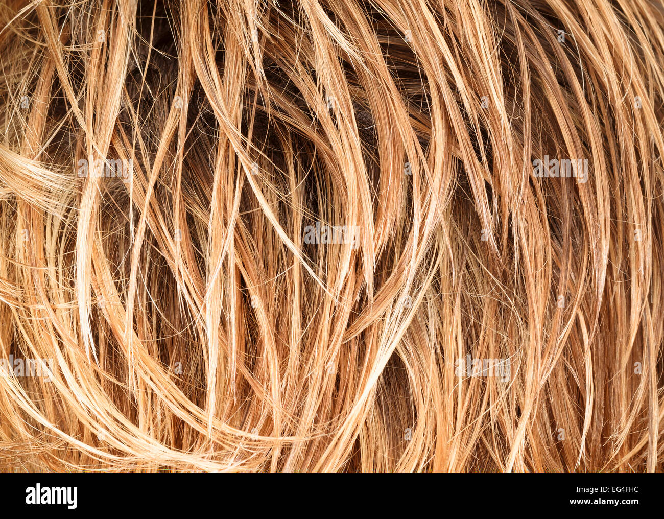Bouffant hairdo hi-res stock photography and images - Alamy