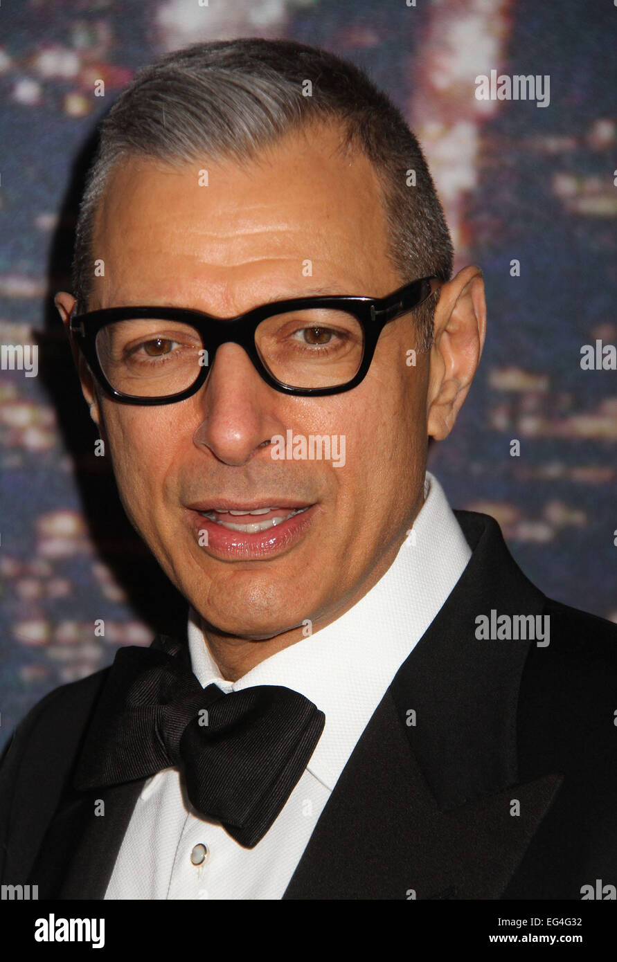New York, New York, USA. 15th Feb, 2015. Actor JEFF GOLDBLUM attends ...