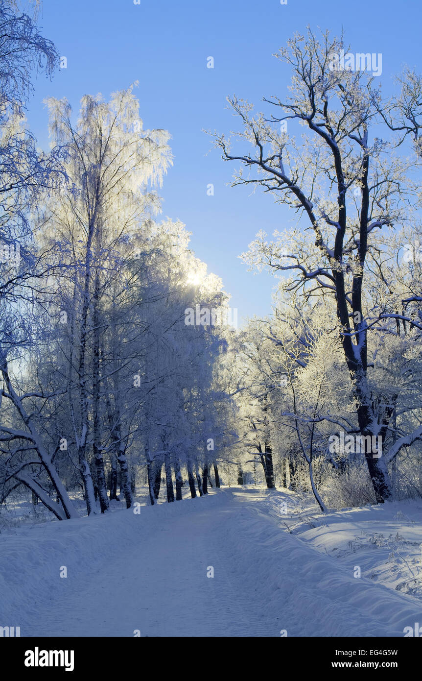 Sun lit footpath hi-res stock photography and images - Alamy