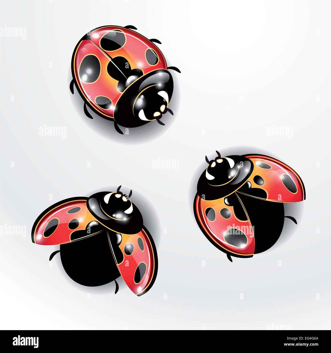 Three red ladybugs Stock Photo - Alamy