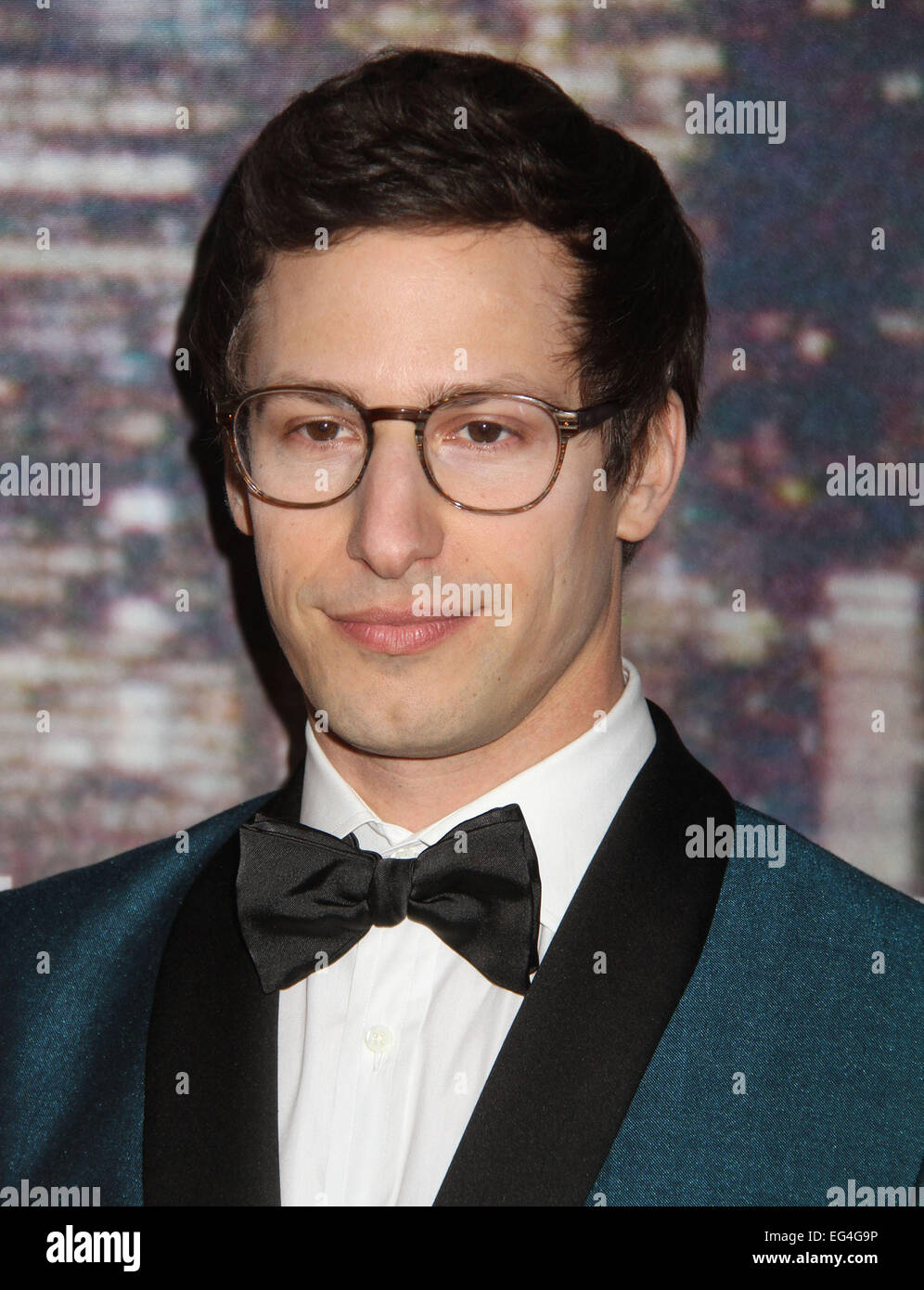 New York, New York, USA. 15th Feb, 2015. Actor ANDY SAMBERG attends the ...