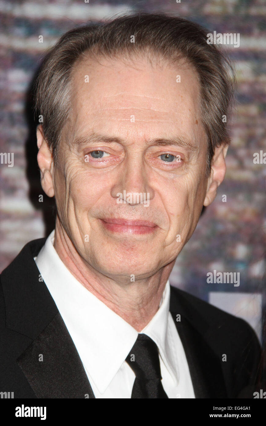 New York, New York, USA. 15th Feb, 2015. Actor STEVE BUSCEMI attends ...