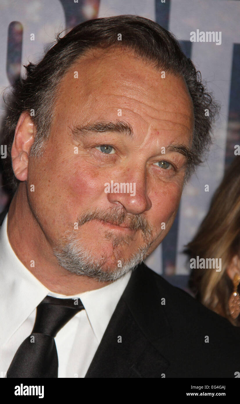 New York, New York, USA. 15th Feb, 2015. Actor JIM BELUSHI attends the ...