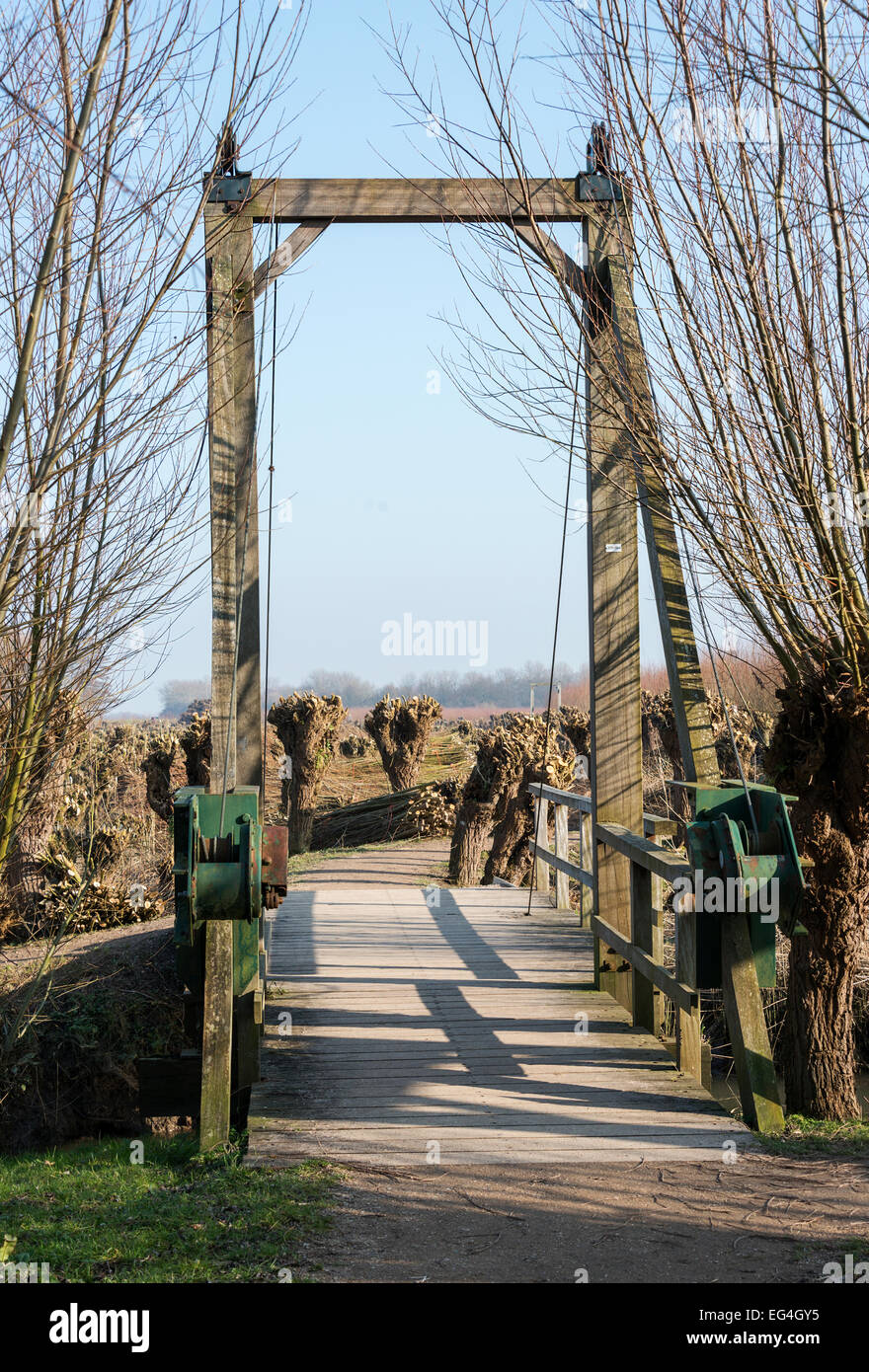 nature area in holland with willows and wooden drawbridge and small ...