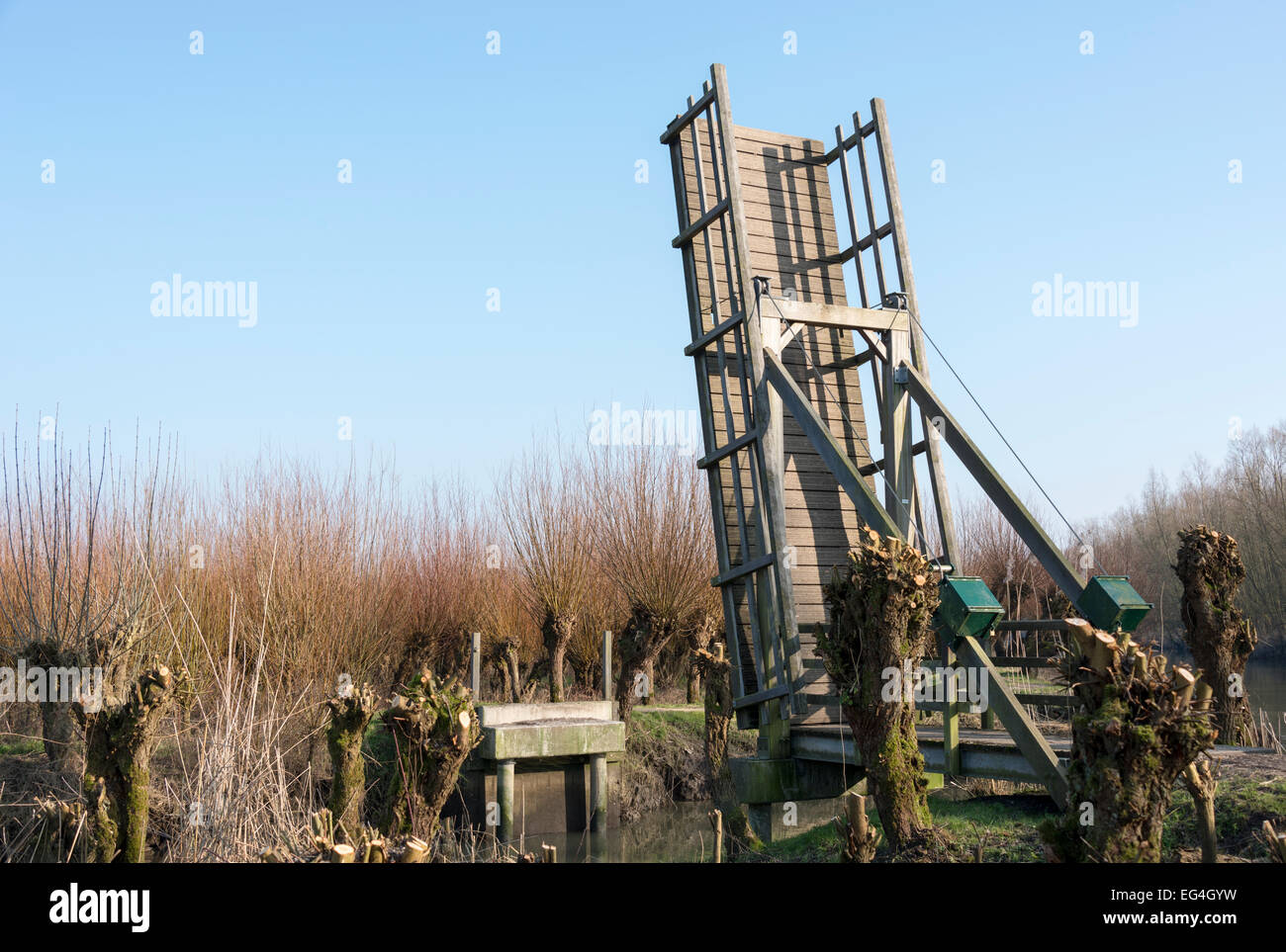 nature area in holland with willows and open wooden drawbridge and ...