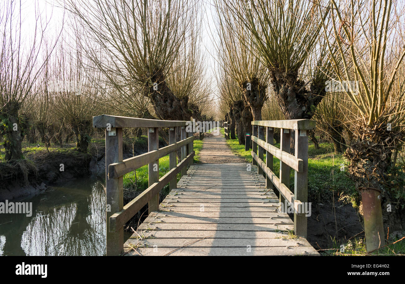 The willow path hi-res stock photography and images - Alamy