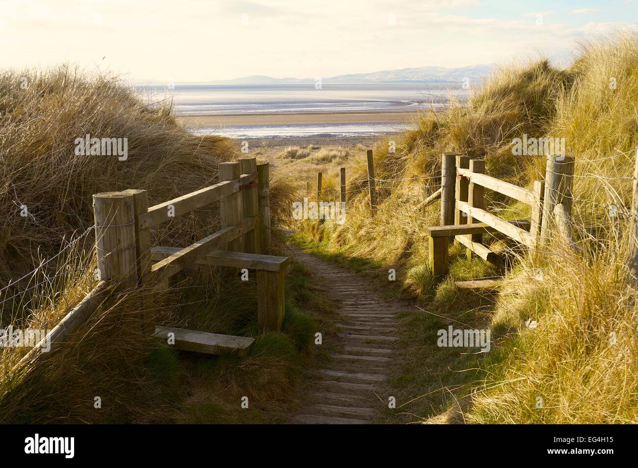 Foot path styles through Marram Grass covered sand dunes Solway Coast ...