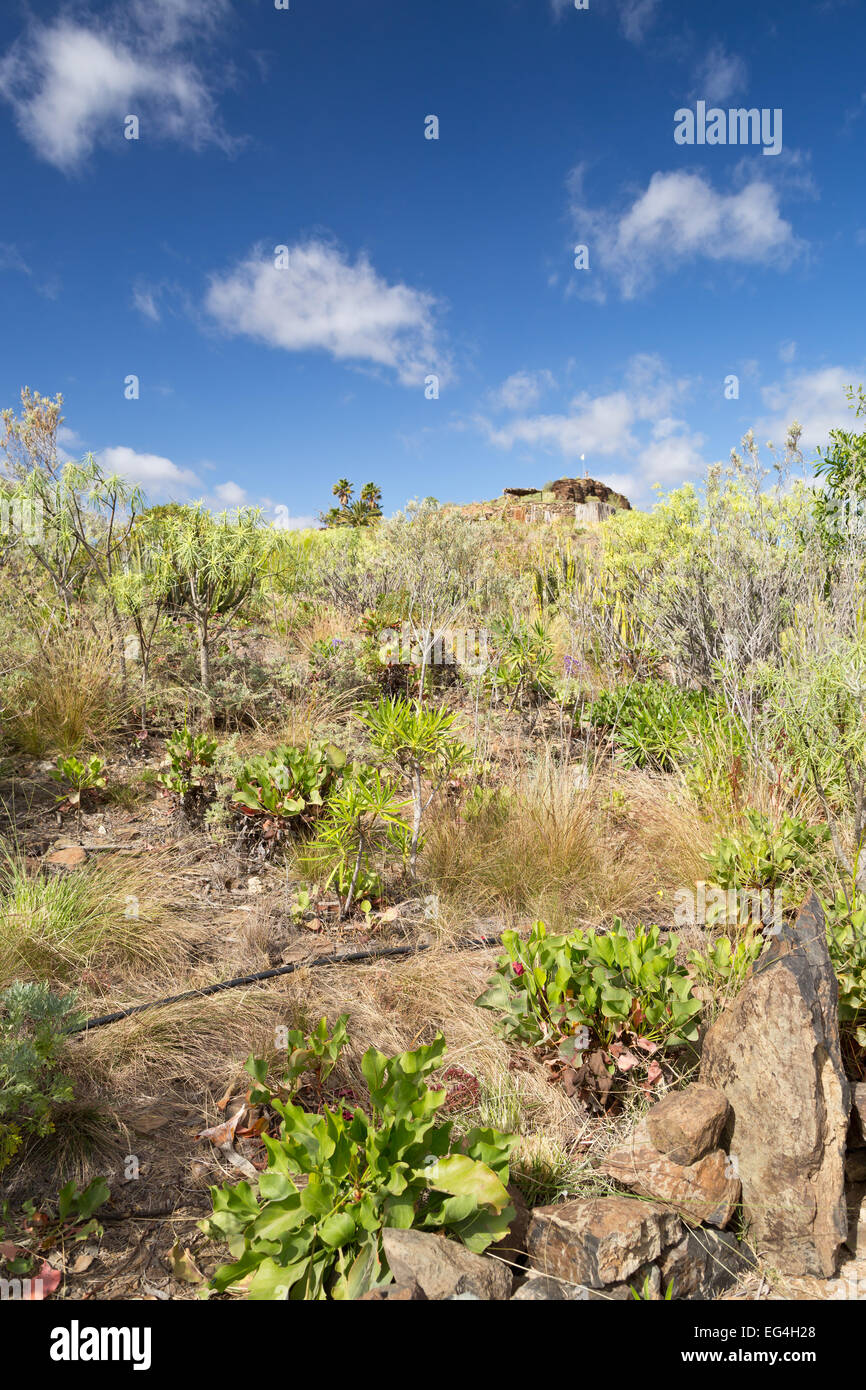 Gran Canaria - Mundo Aborigen archeological park - Canary Islands ...
