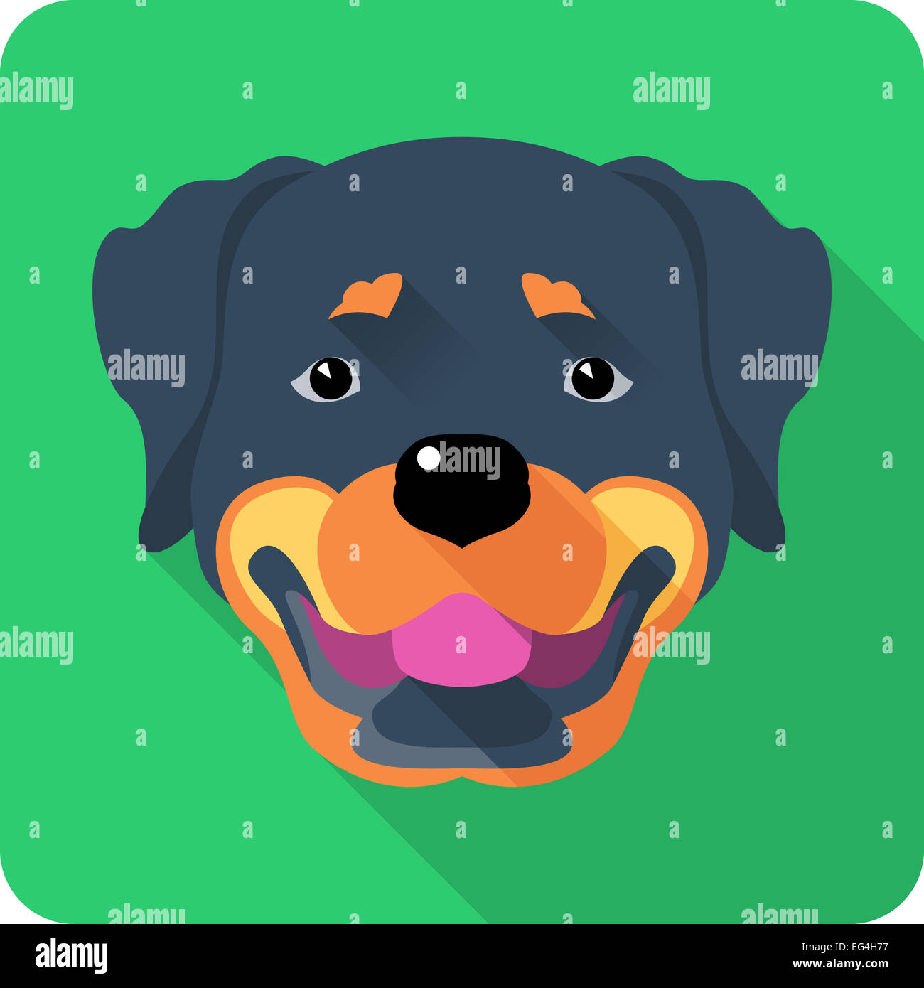 dog Rottweiler icon flat design Stock Photo - Alamy
