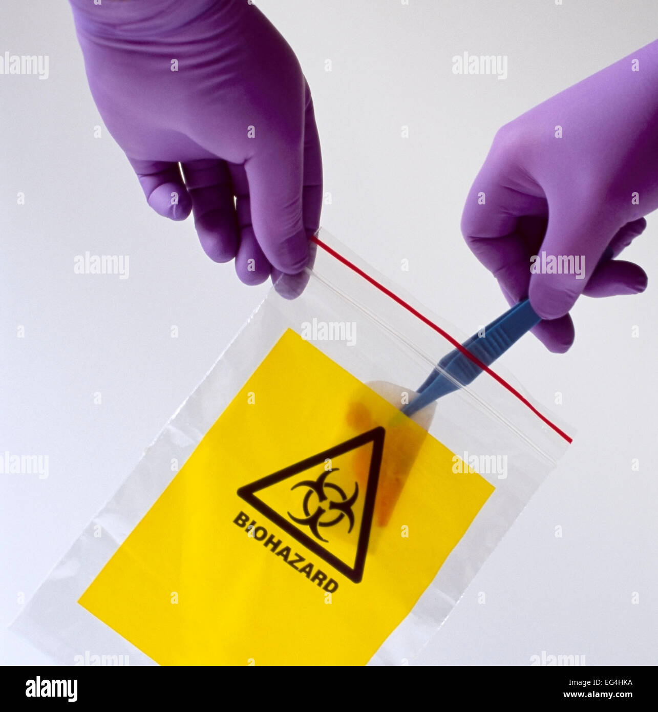 Placing contaminated swab into a biohazard bag Stock Photo - Alamy