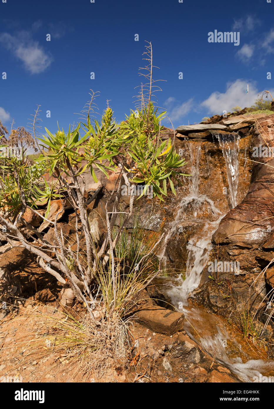 Gran Canaria - Waterfall at the Mundo Aborigen archeological park ...