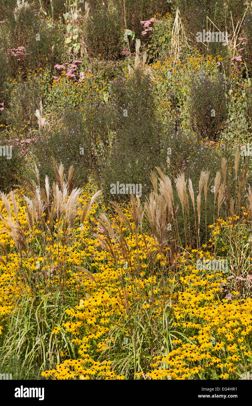 Riverbank arena hi-res stock photography and images - Alamy