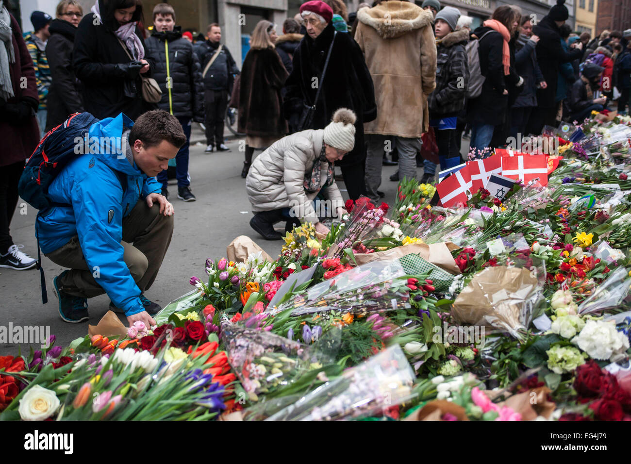 Copenhagen, Denmark. 16th February, 2015. Copenhagener is laying ...