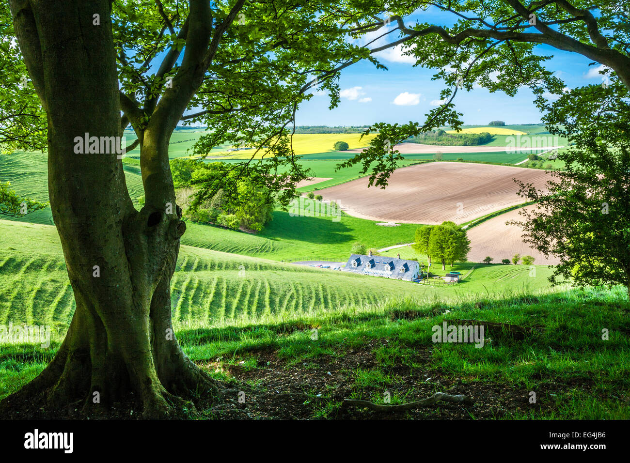 View over farmland and rolling countryside with fields of rape in ...
