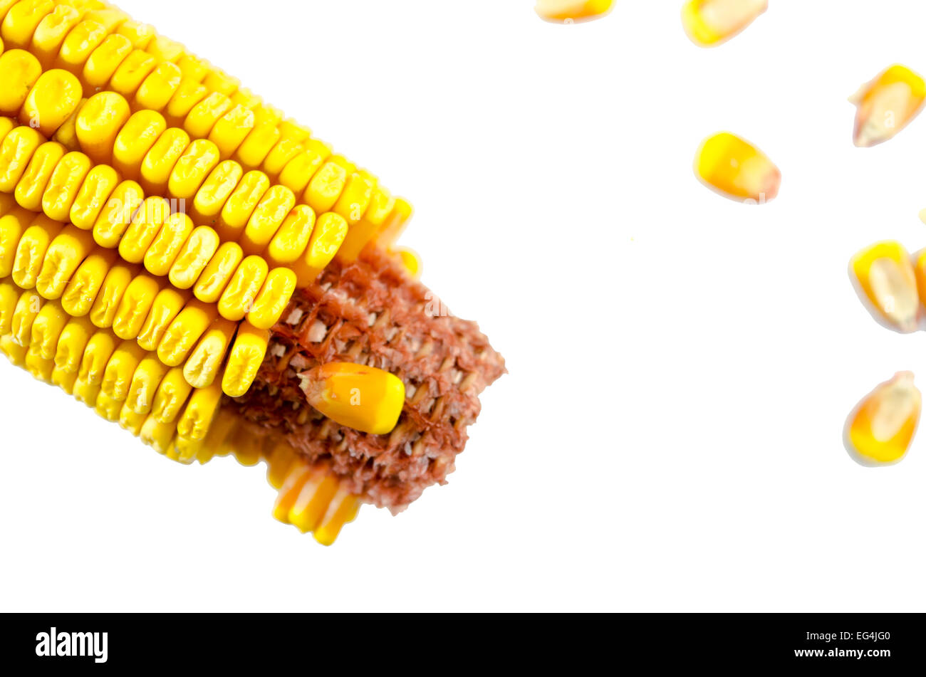 Partially crumbled corn and corn grains isolated Stock Photo - Alamy