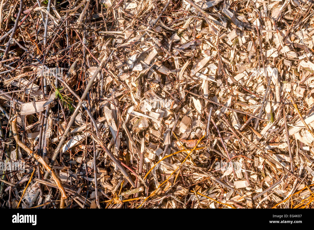 Wood chippings garden hi-res stock photography and images - Alamy
