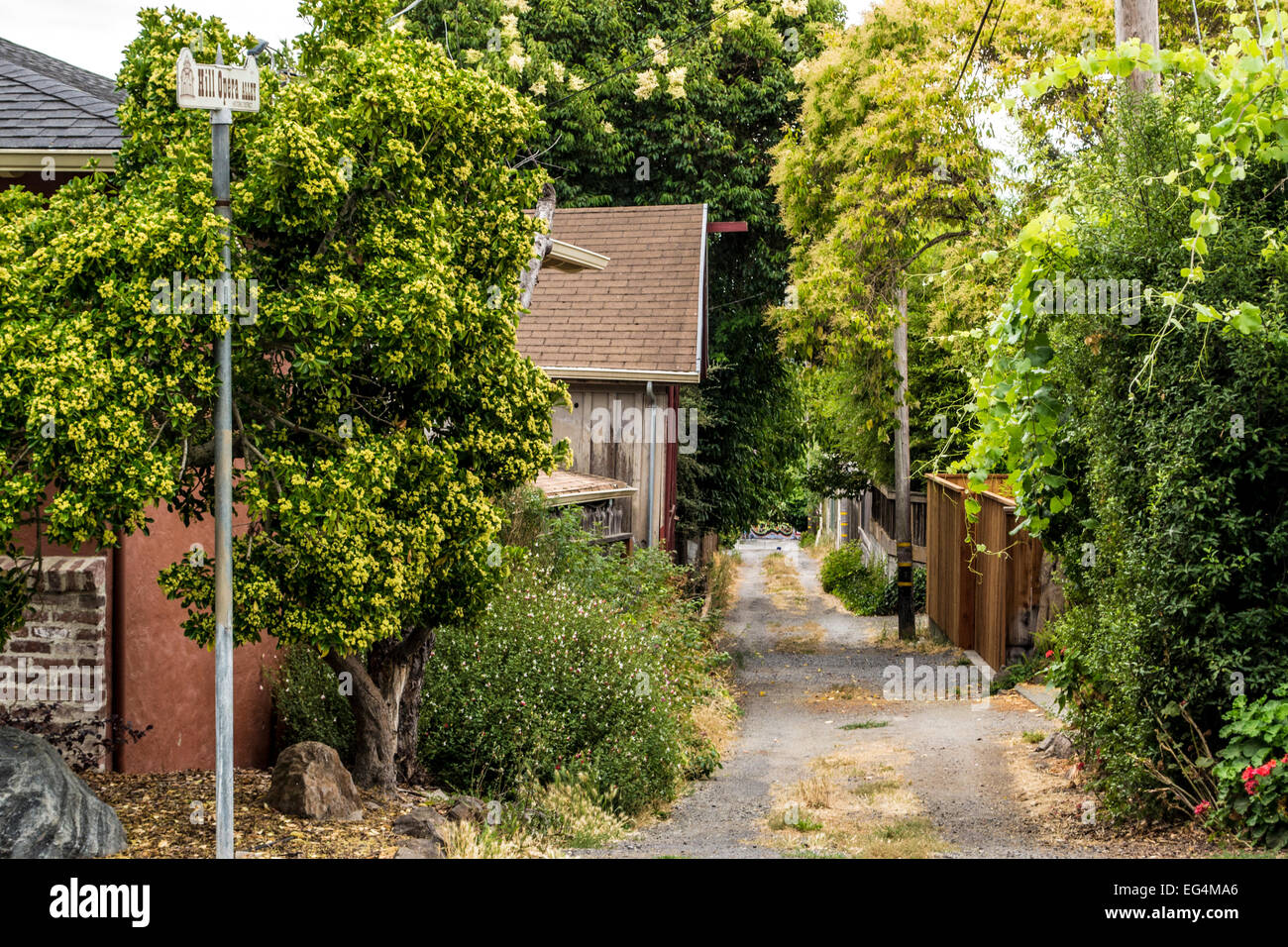 Backroad in Northern California Stock Photo - Alamy