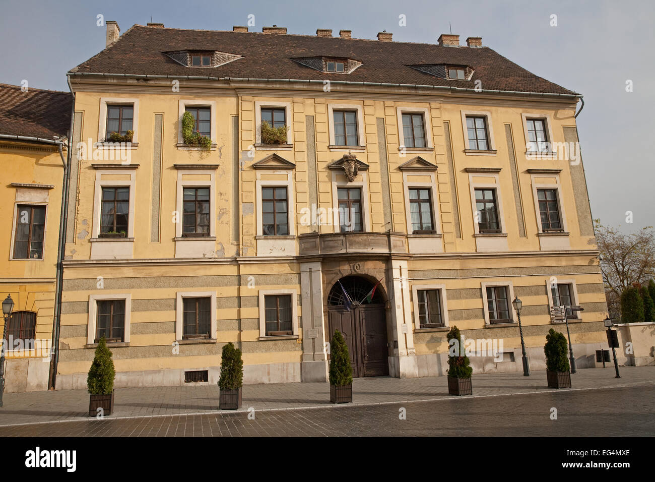 Conifers in pots hi-res stock photography and images - Alamy
