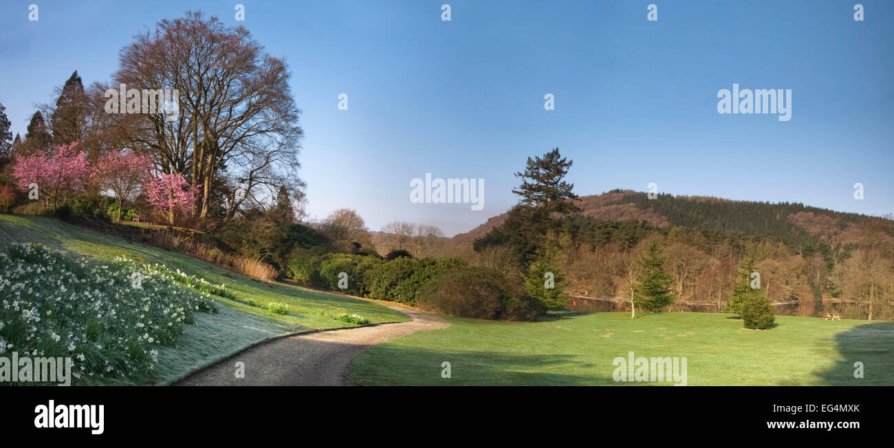 Fell Foot Park blossom, Newby Bridge, Windermere, Lake District ...