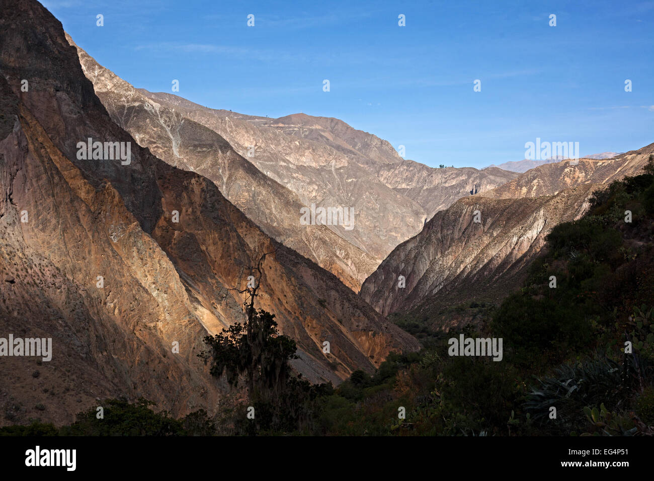 Colca Canyon Peru Stock Photo - Alamy
