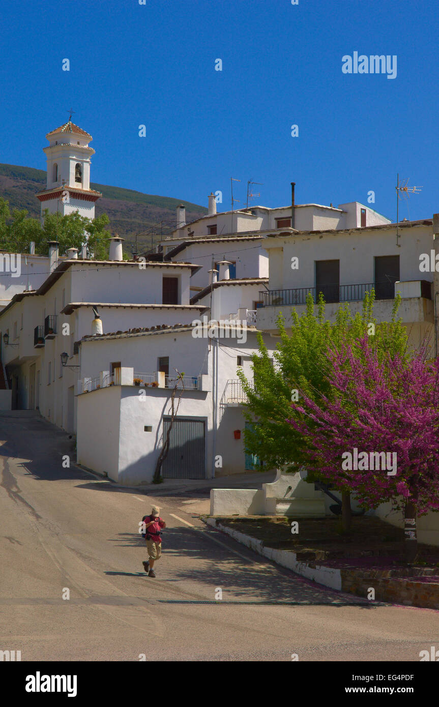 Pitres, Alpujarras Mountains area, Granada province, Andalusia, Spain ...