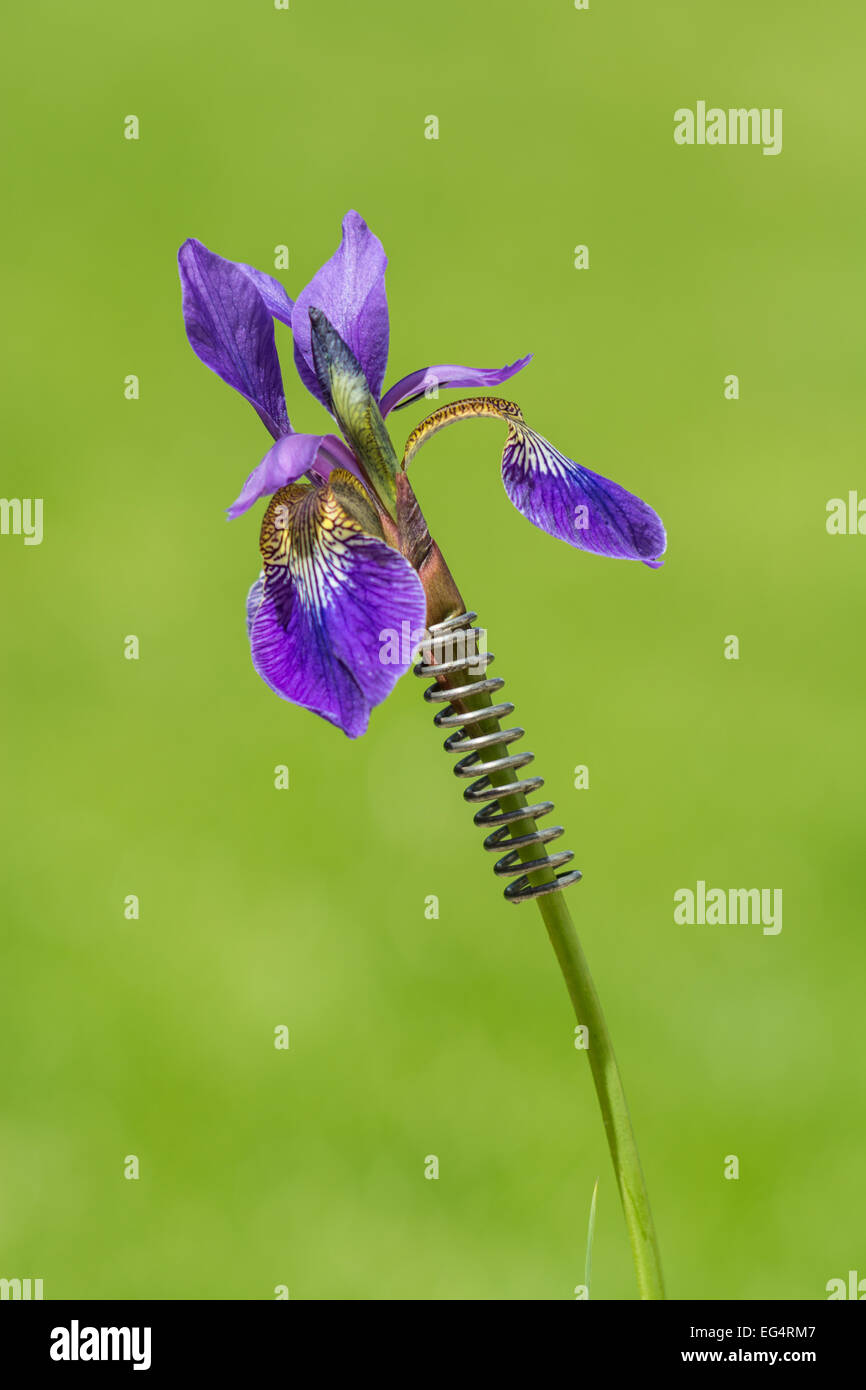 Visual pun hi-res stock photography and images - Alamy