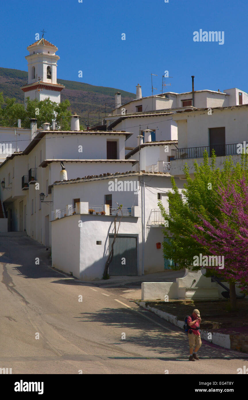Pitres, Alpujarras Mountains area,Granada province, Andalusia, Spain ...