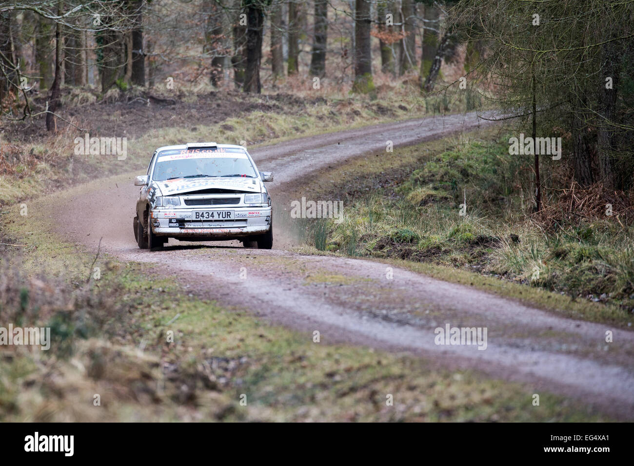 A car taking part in the 2015 Wyedean Rally Stock Photo - Alamy