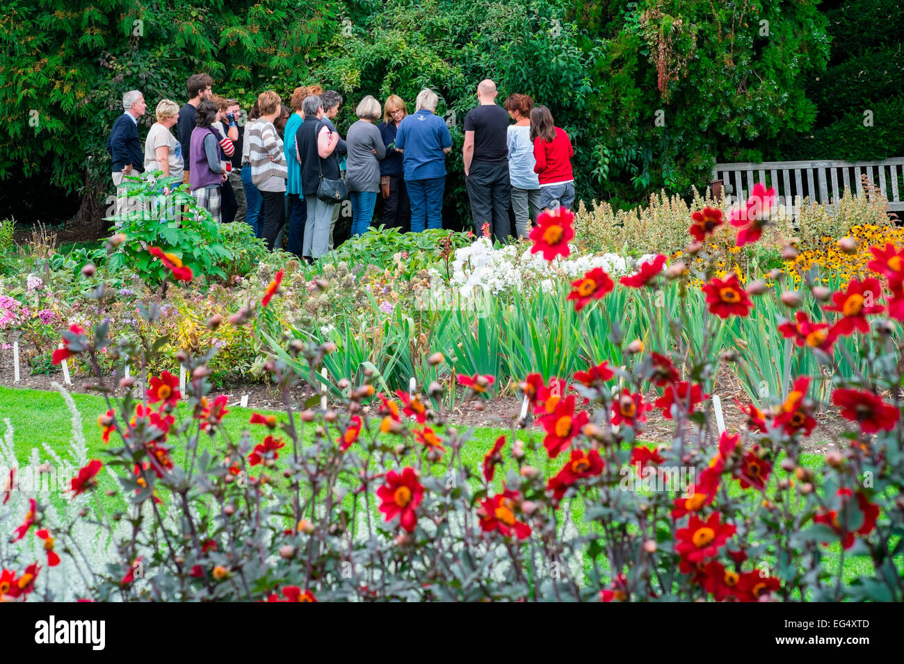 Tour guide group visitors hi-res stock photography and images - Alamy
