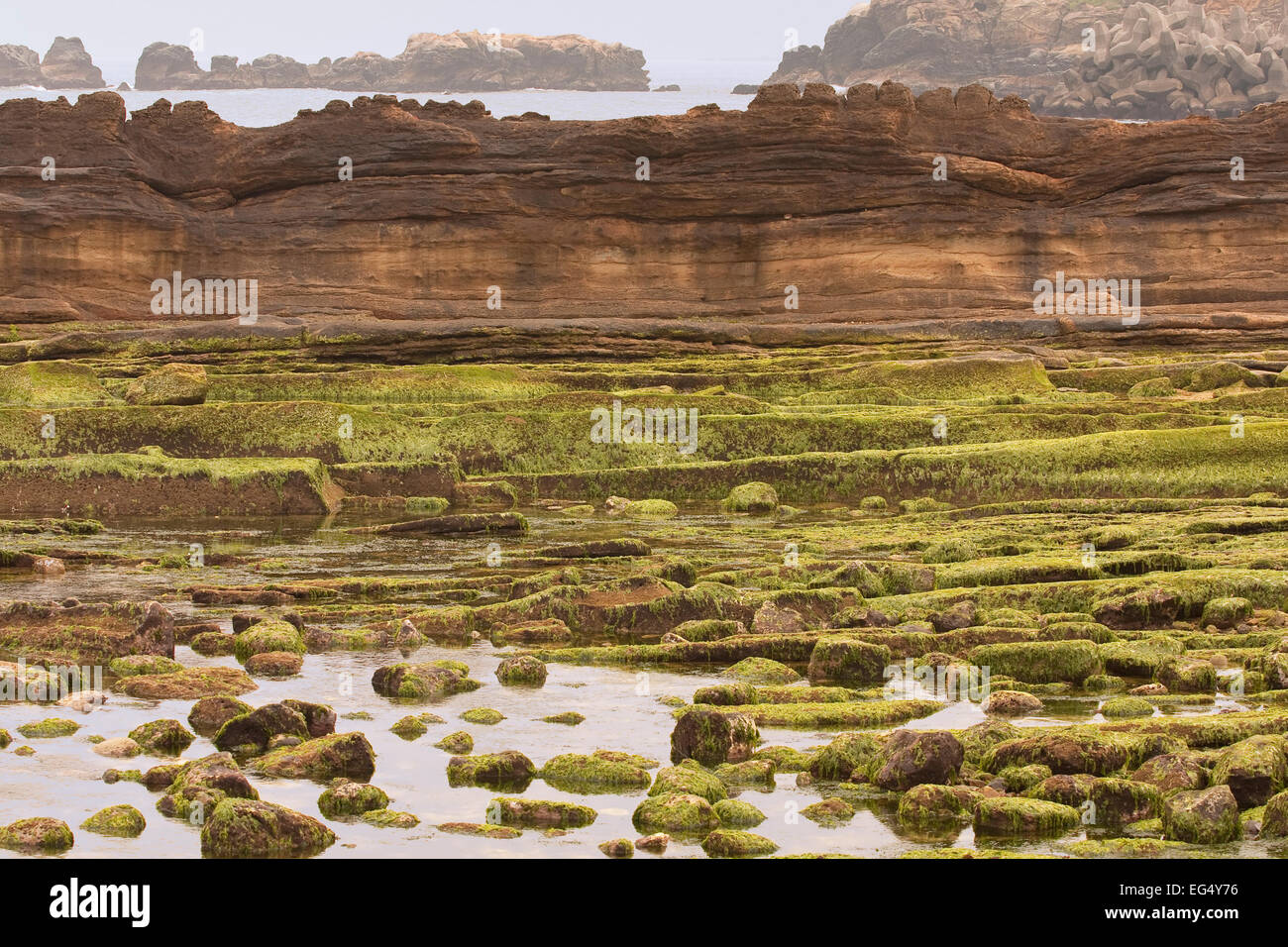 Yeliou National Park in Taiwan, China, Asia Stock Photo - Alamy