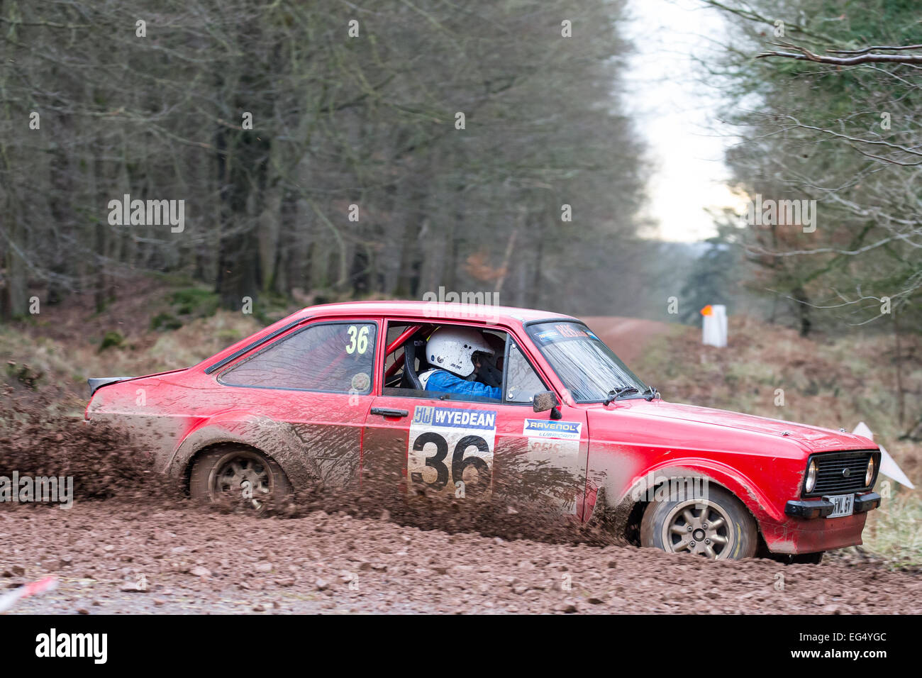 A car taking part in the 2015 Wyedean Rally Stock Photo - Alamy