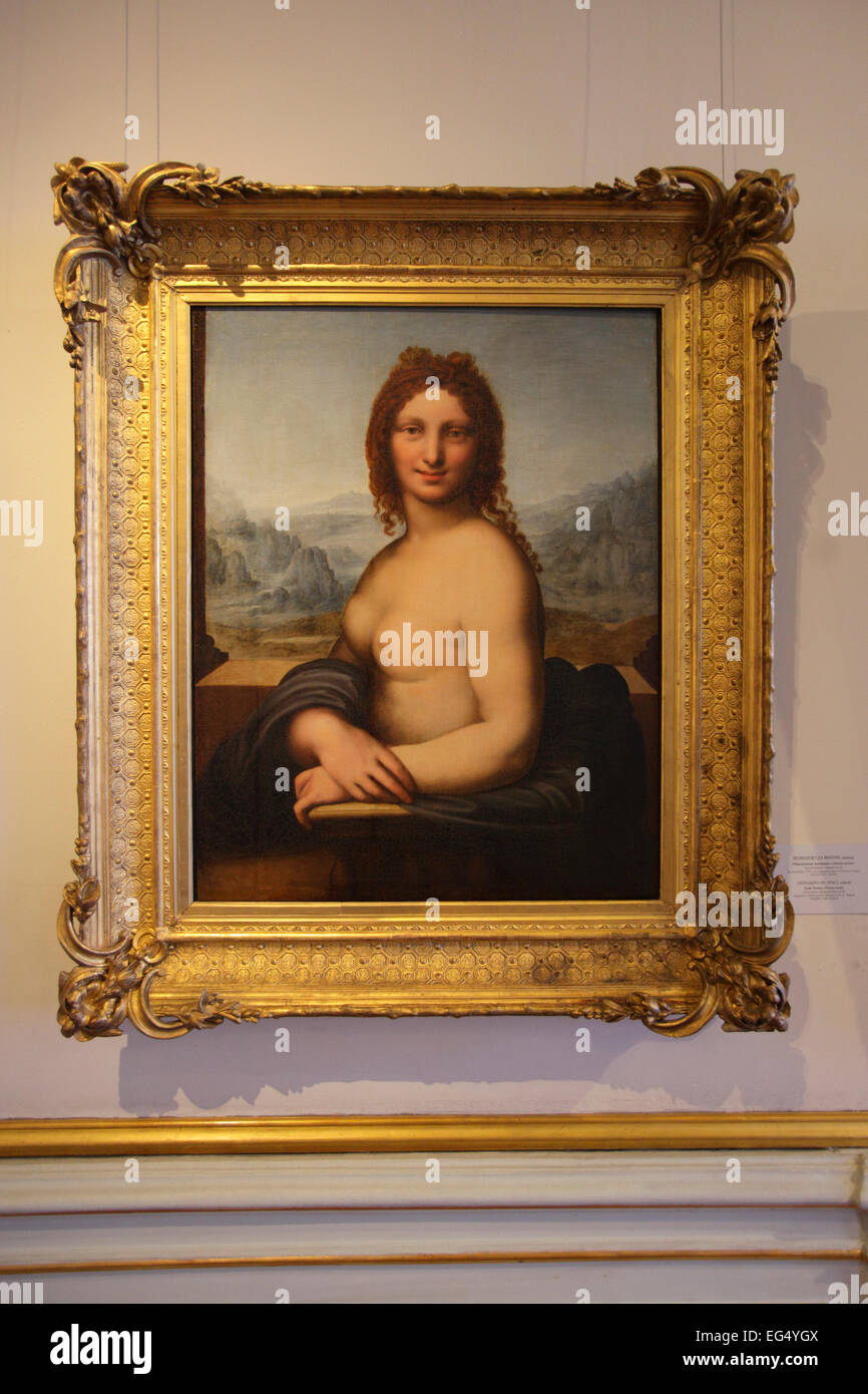 Nude Woman By Leonardo Da Vinci At The Hermitage Museum Saint Nude Woman By Leonardo Da Vinci At The Hermitage Museum Saint