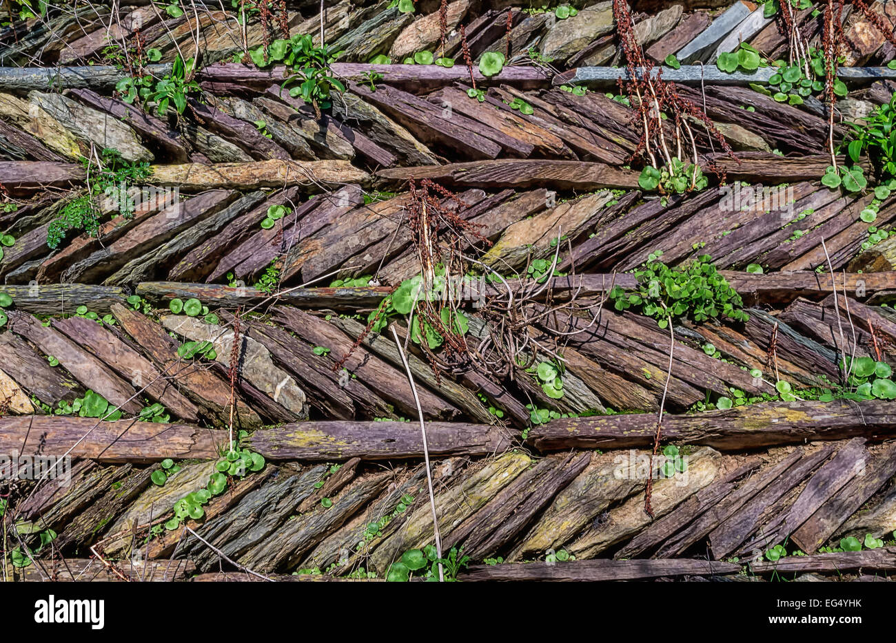Surrounding Wall, Textured Effect, Fence, Weeding, Weed, Plant, Stack ...