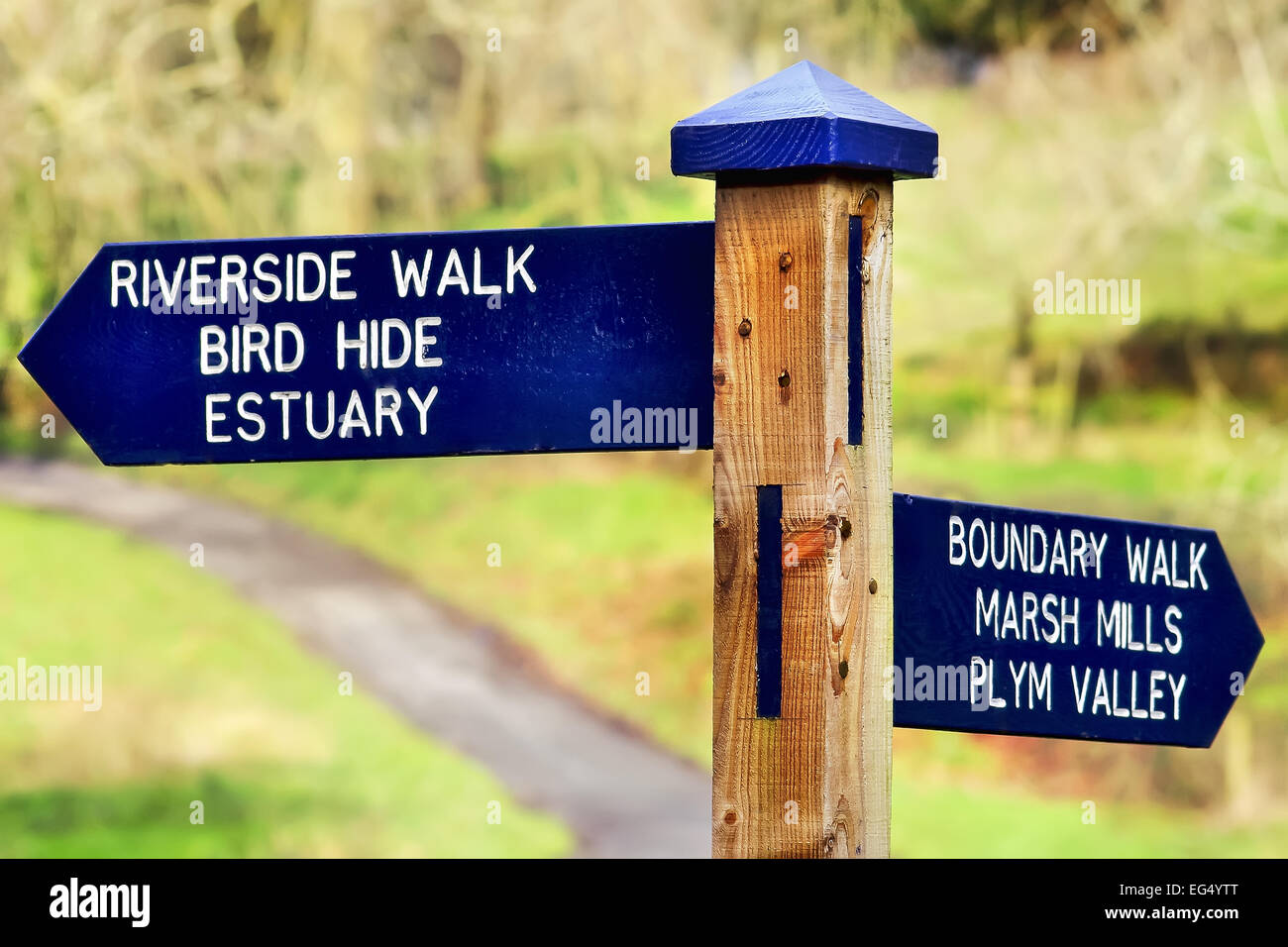 Double Arrow Sign,Arrow Sign,Blue Background,Communication,Global ...