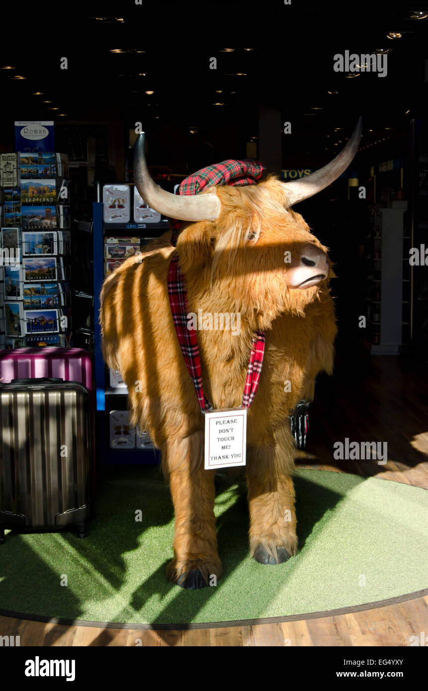 Life-size model of a highland cow in a souvenir shop in the centre of ...