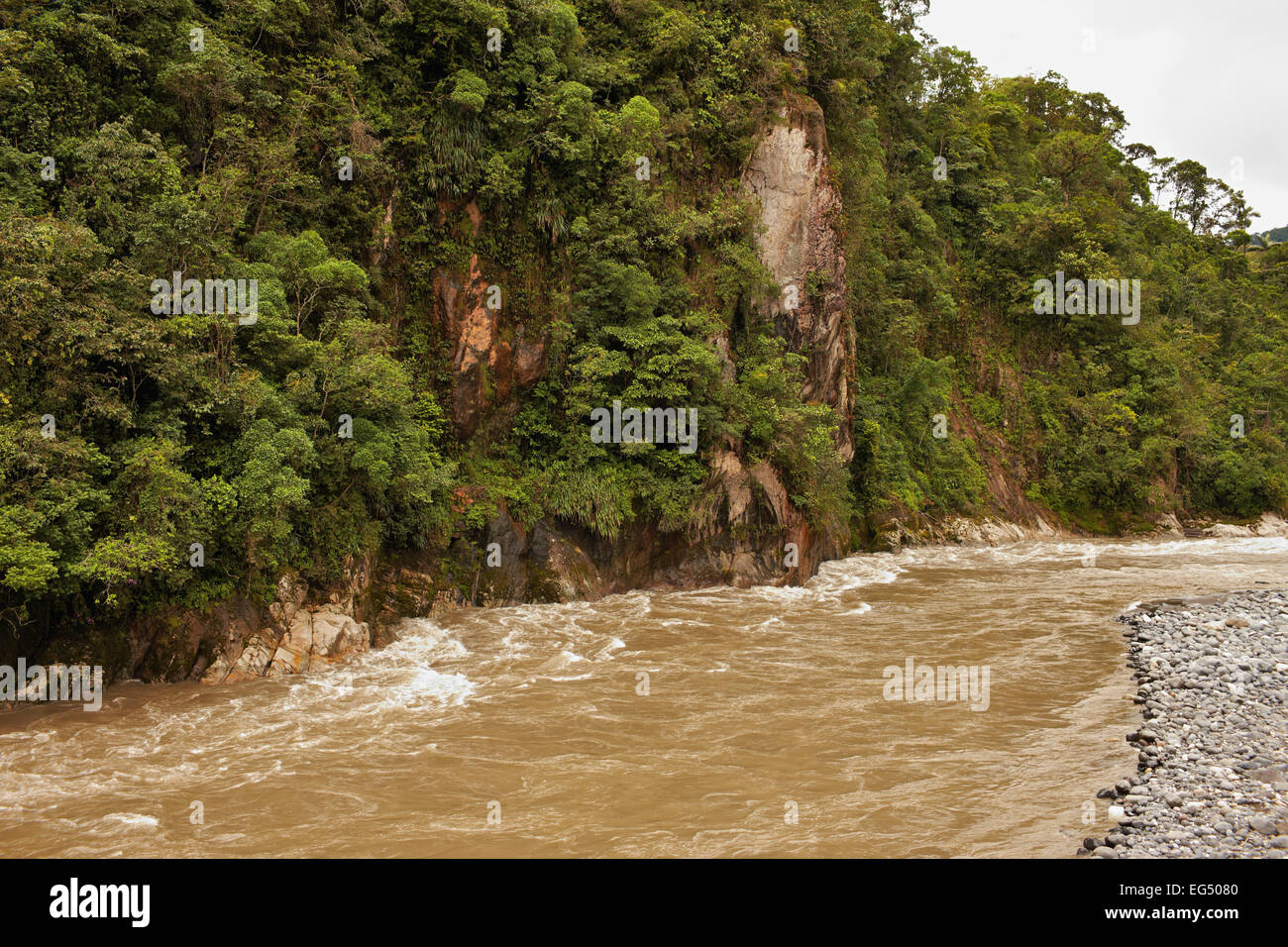 mountain river in the jungle, flood after rain, the clay flow Stock ...