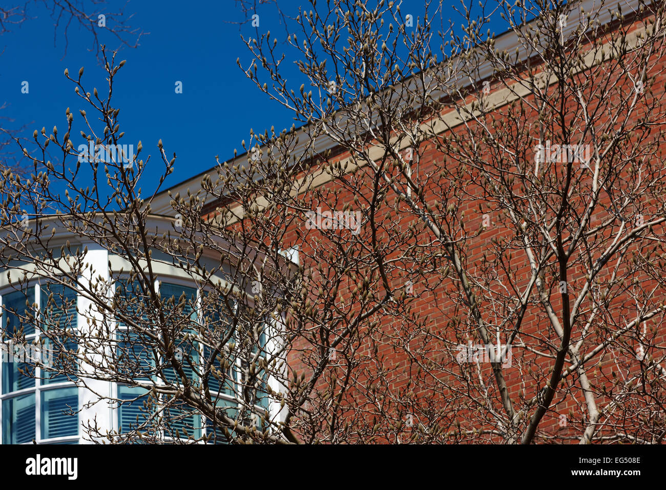 Large clear windows hi-res stock photography and images - Alamy