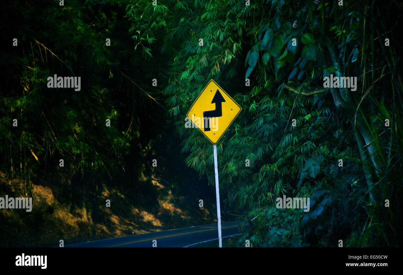 landscape, signal, come in, curve, right, trees, plants, green, roads ...