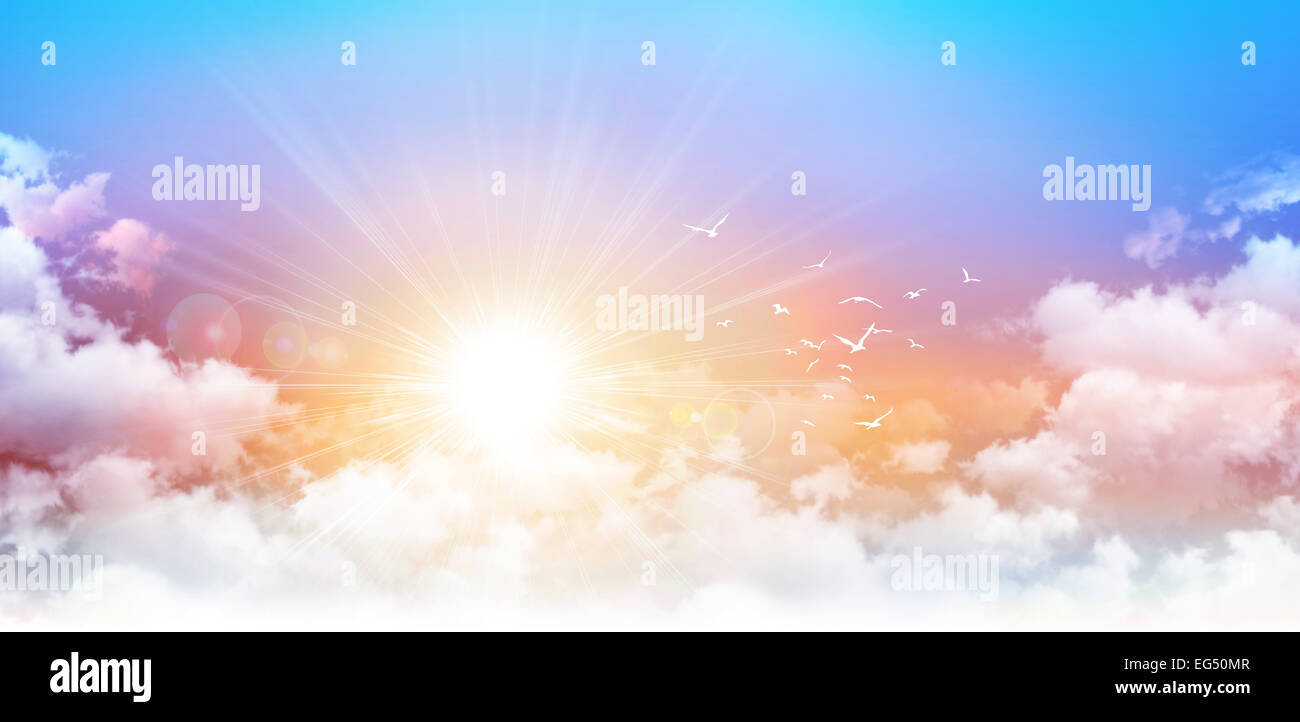 High resolution morning sky background. Rising sun and birds breaking ...