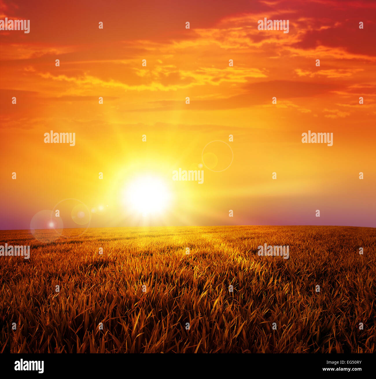 Setting Sun On Field High Resolution Stock Photography and Images - Alamy