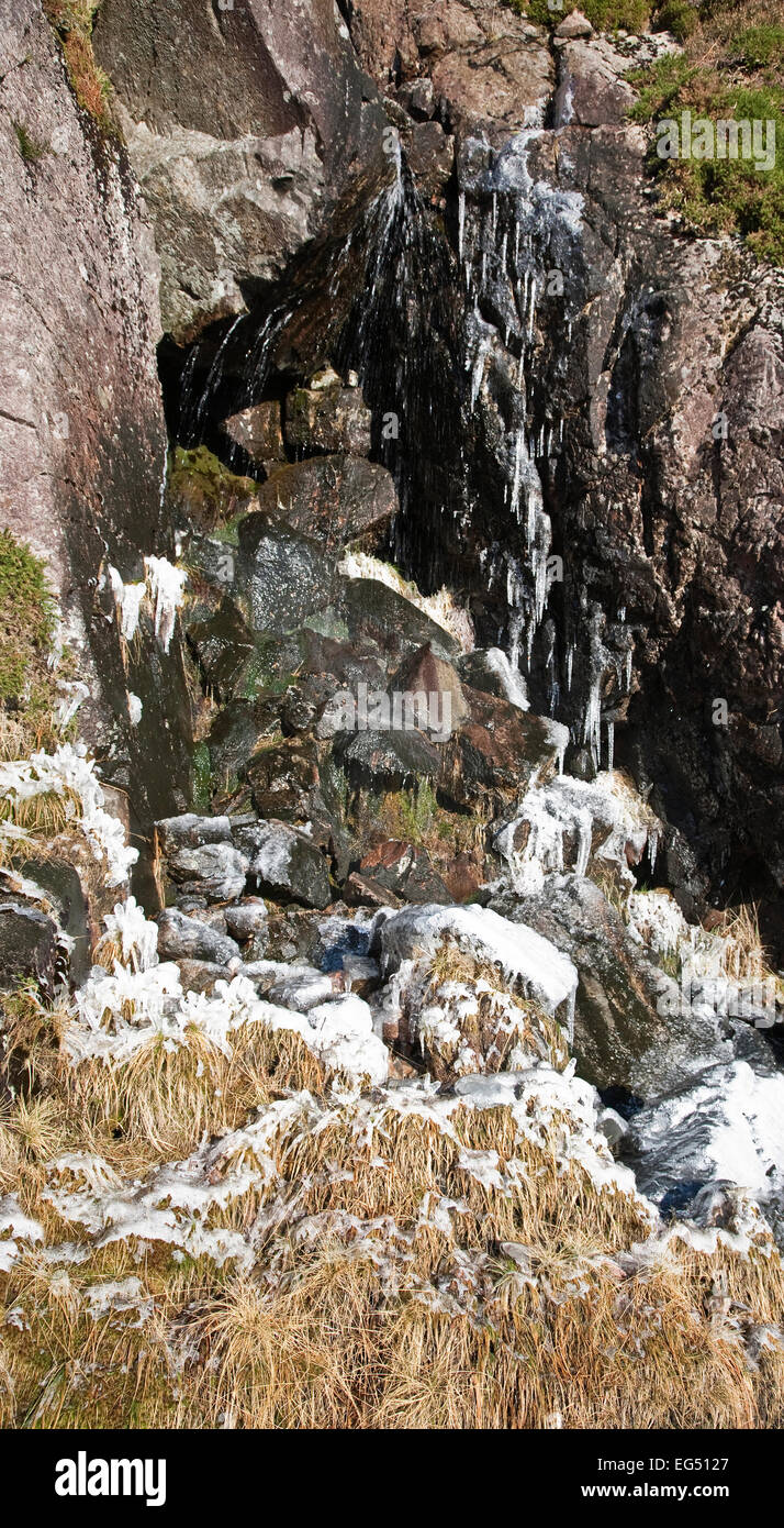Ice bubbles frozen over grass Stock Photo - Alamy