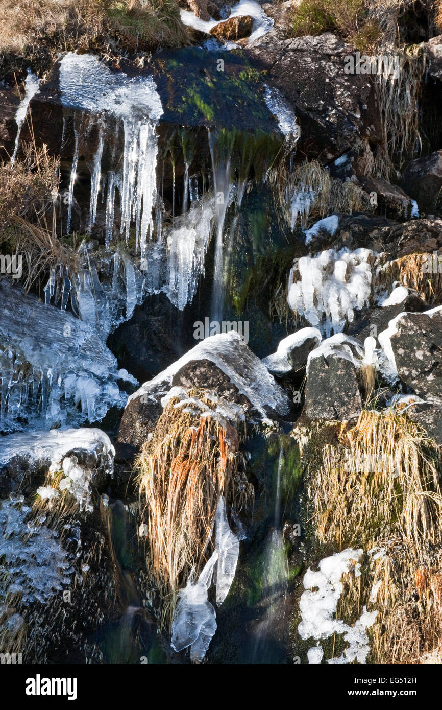 Ice bubbles over grass Stock Photo - Alamy
