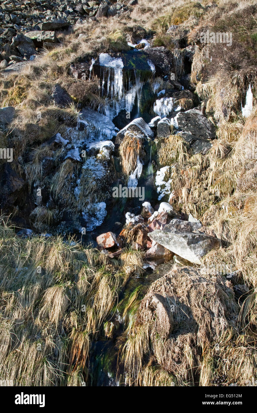 Ice bubbles over grass Stock Photo - Alamy