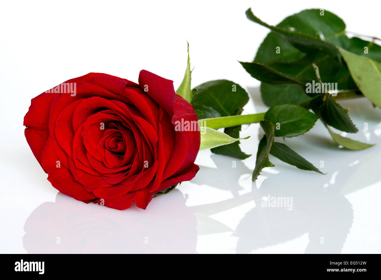 Red rose lying on a crystal table Stock Photo - Alamy