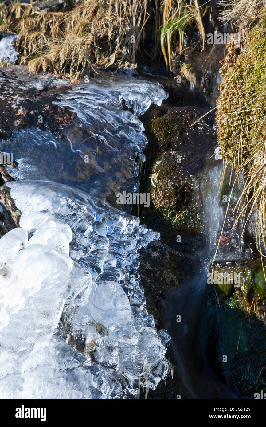 Ice bubbles over grass Stock Photo - Alamy