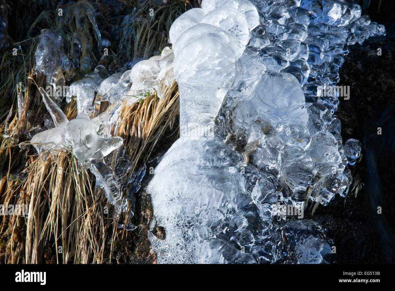 Grass shapes hi-res stock photography and images - Alamy