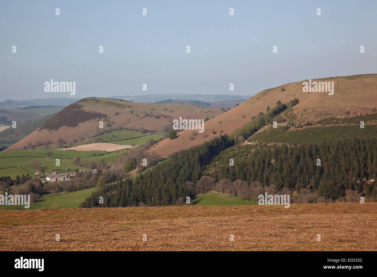 View from Hergest Ridge Stock Photo - Alamy