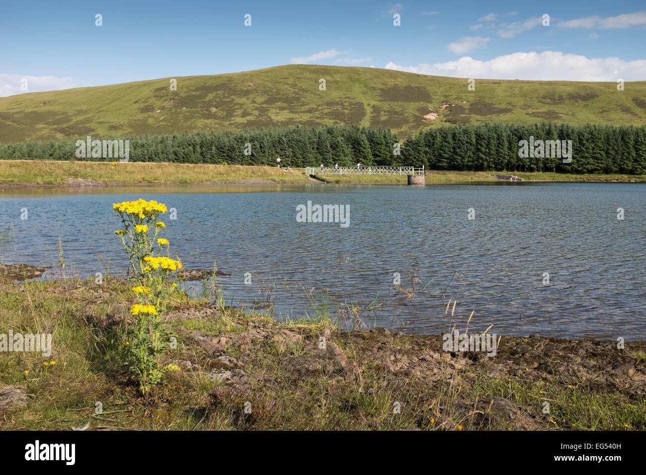 Pentlands country park hi-res stock photography and images - Alamy